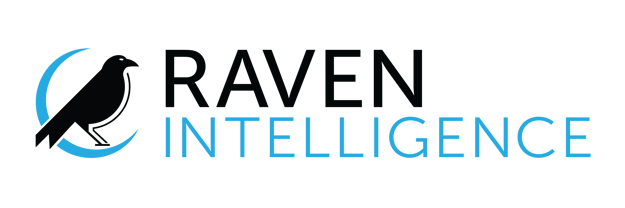 Raven Intelligence Brand Guidelines